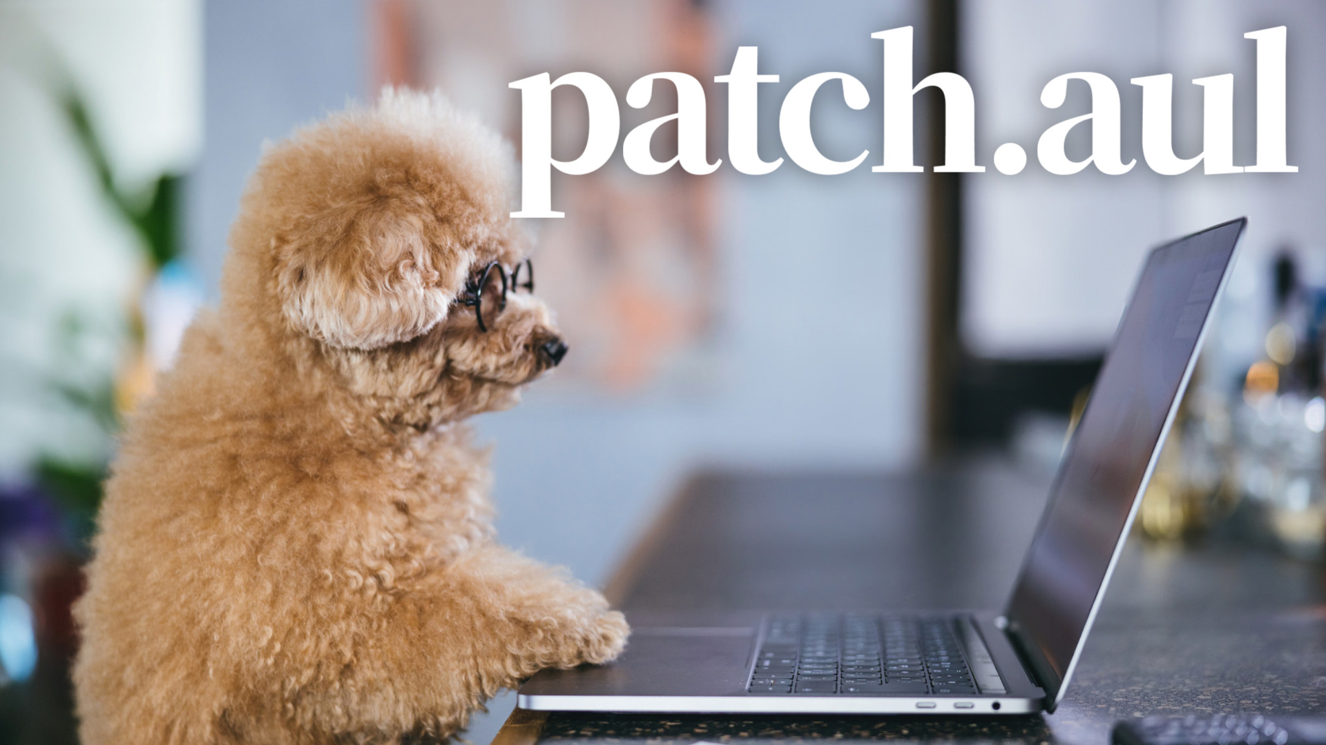 【必須】AviUtlを使うなら、patch.aulを導入しておこう | 自主制作.net